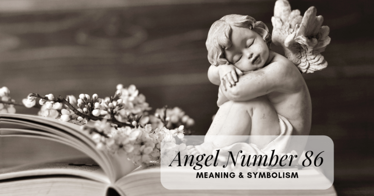 ANGEL NUMBER 86 - What Does It Mean and Why It's Showing Up?